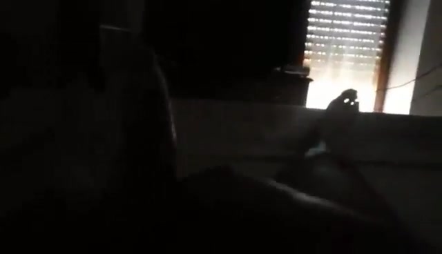 Amatoriale Parte 4 Amaporn