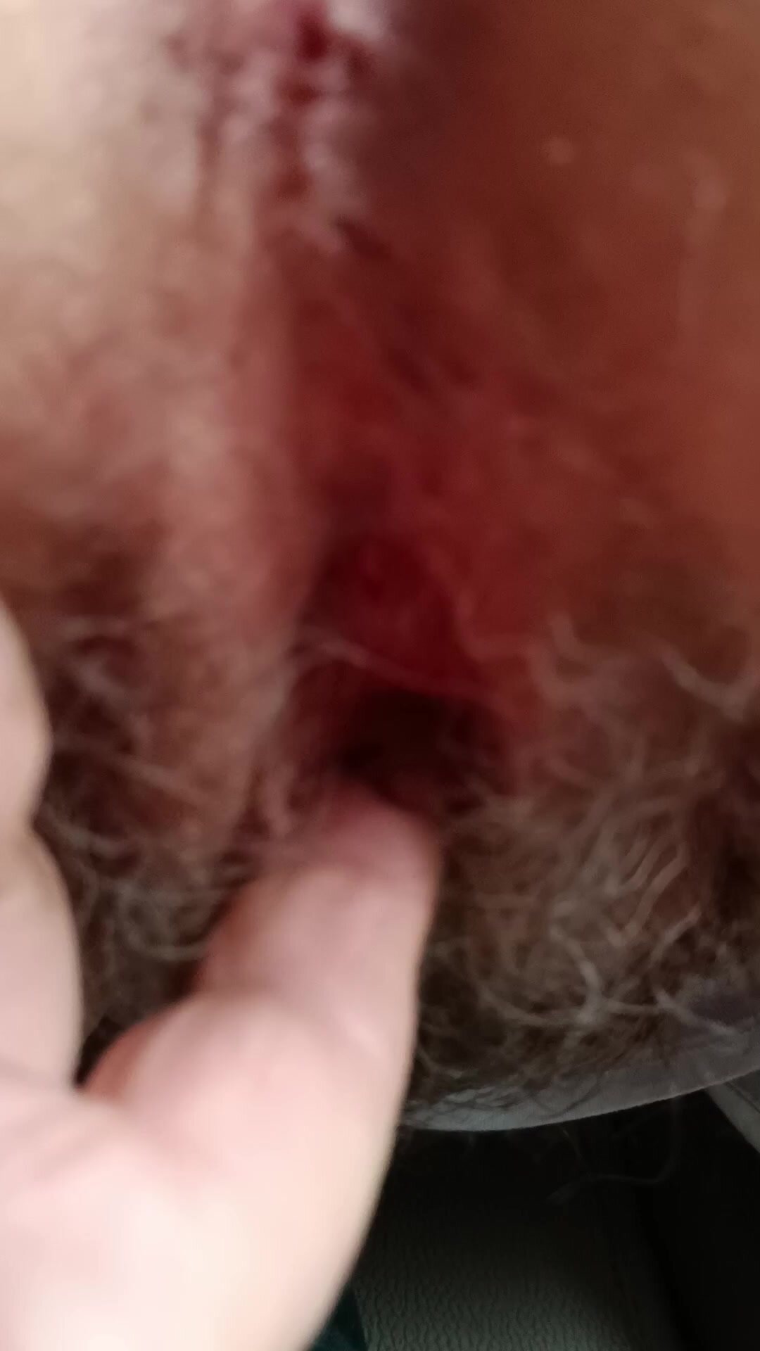 Come Lo Prende La Mia Vacca Amaporn